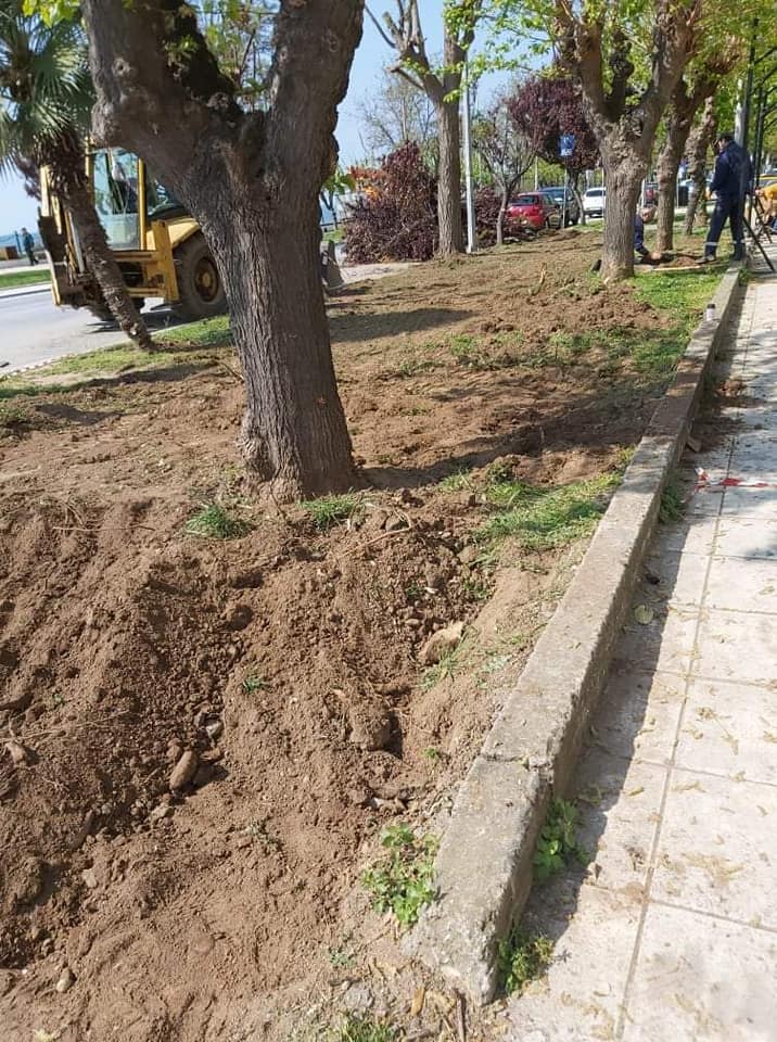 Σε εξέλιξη εργασίες πρασίνου στην παραλιακή της Αλεξανδρούπολης - Η ΓΝΩΜΗ