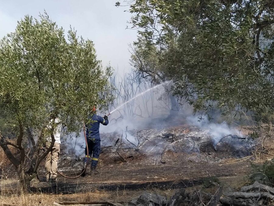 ΕΡΓΑΤΙΚΑ ΣΩΜΑΤΕΙΑ ΑΛΕΞ/ΠΟΛΗΣ: Συγκεντρώνουν είδη πρώτης ανάγκης για ...