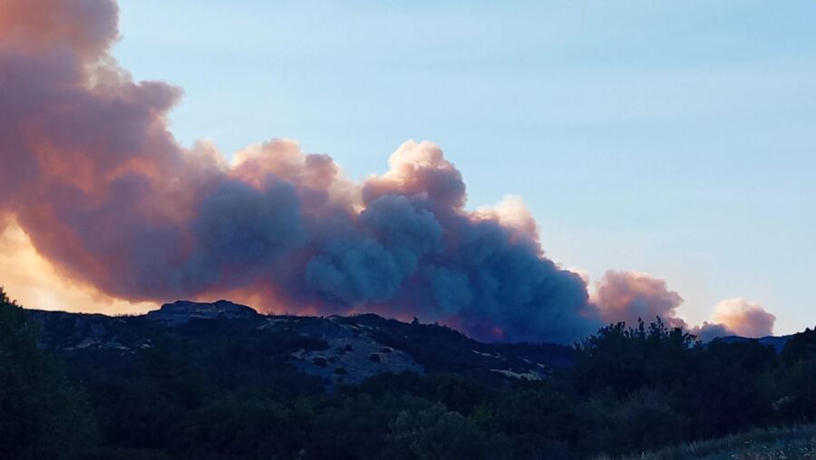 Φωτιές στον Έβρο: Κίνδυνος για το απολιθωμένο δάσος της Λευκίμμης - Η ΓΝΩΜΗ