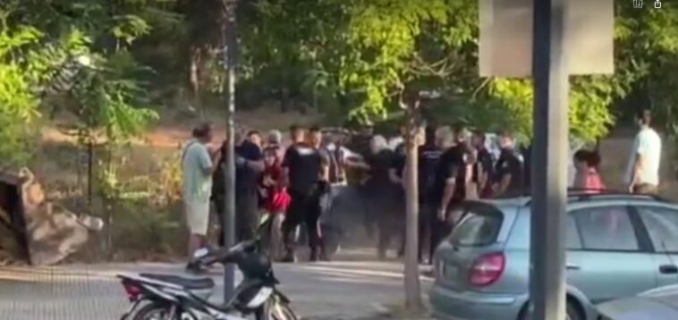 ΣΥΡΙΖΑ Εβρου για το Φυτώριο: Απαράδεκτο να ποινικοποιείται το δικαίωμα ...