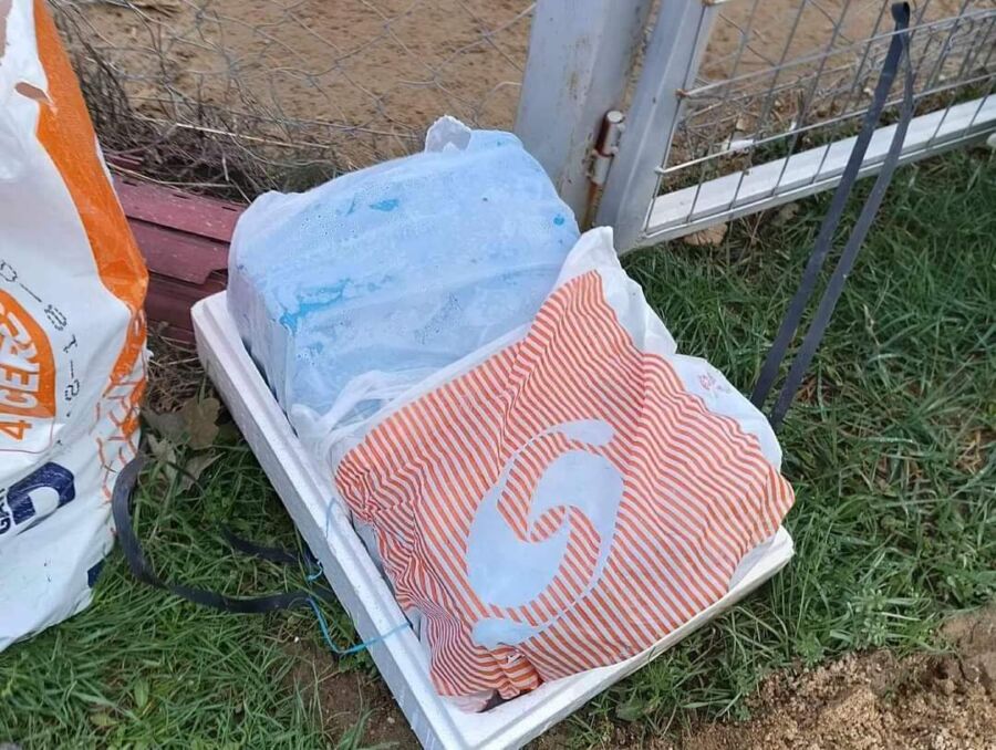 Διδυμότειχο: Έκλεισε κουτάβια σε κουτί αλλά τον έπιασε η κάμερα... - Η ...